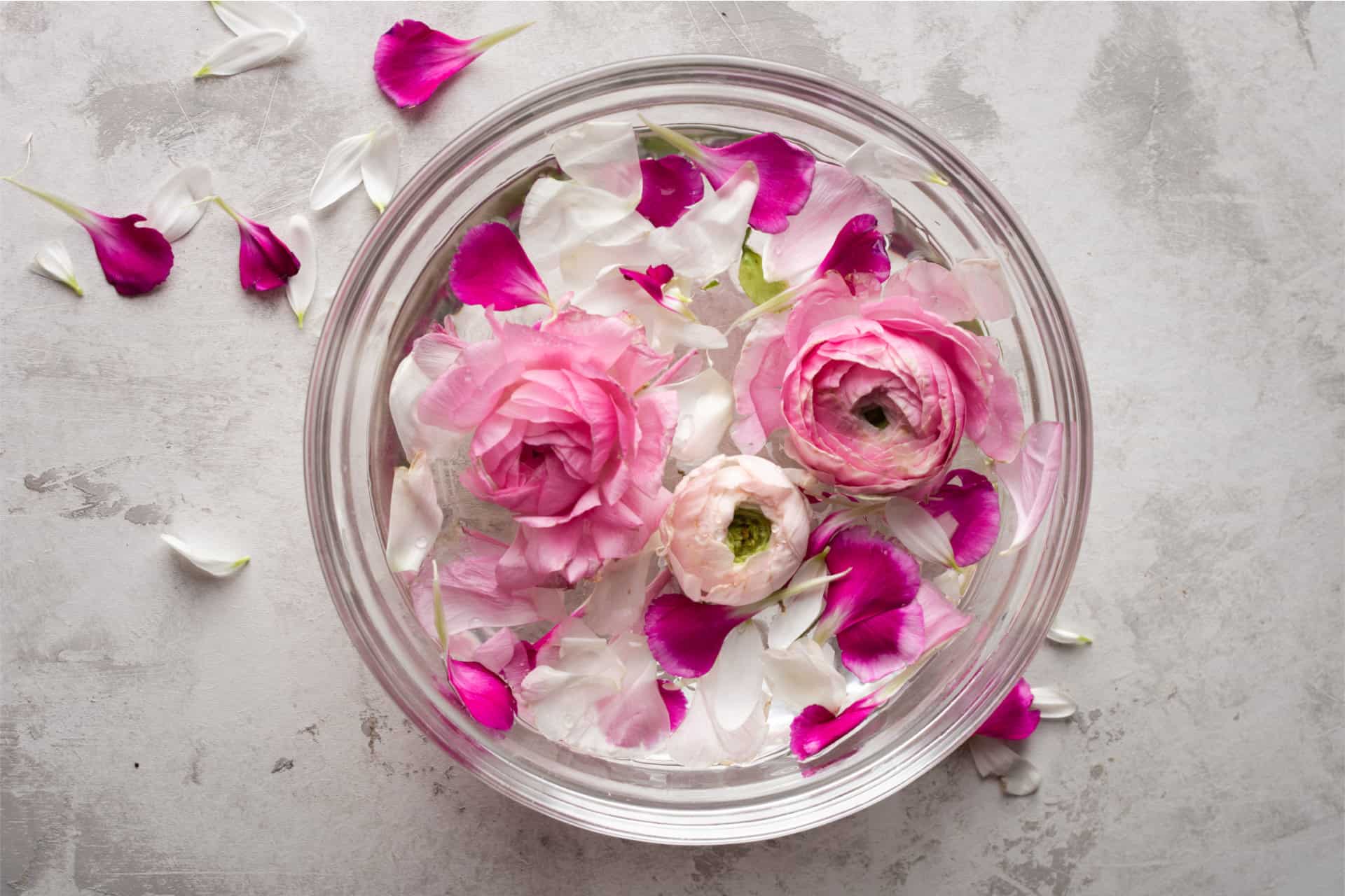 Rosenwasser selber machen: Beauty-Tonic mit nur 2 Zutaten