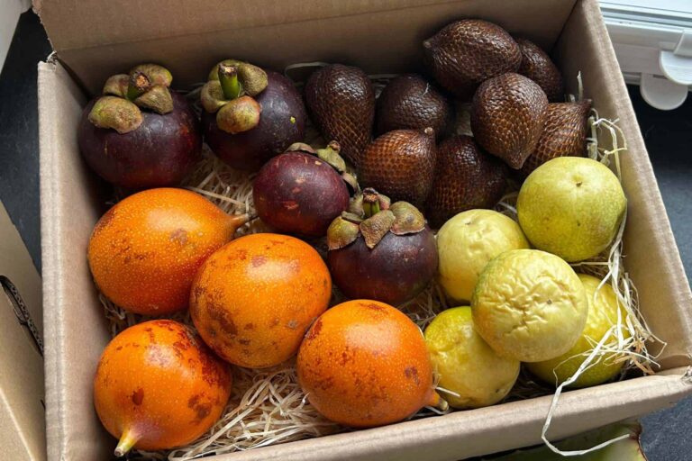 Jurassic Fruit Erfahrung: So kamen meine 2 Früchteboxen an!